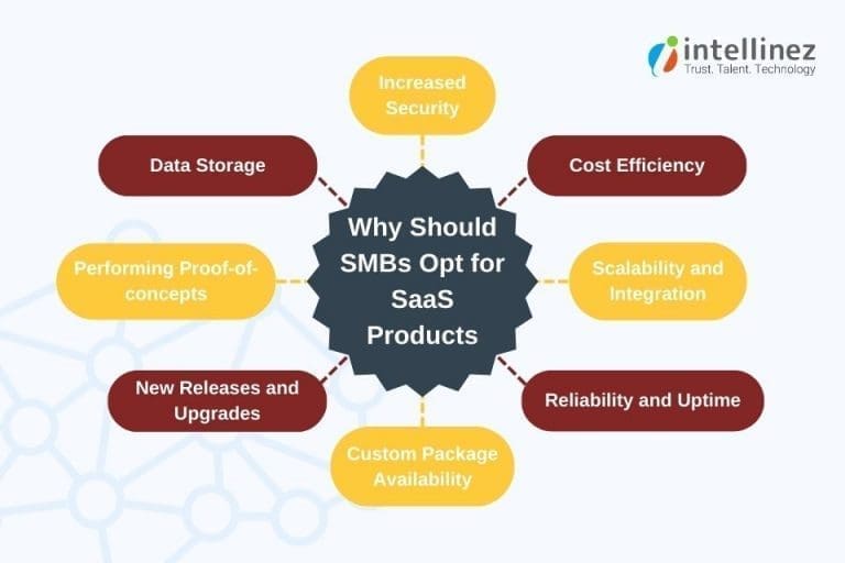 SaaS Application Development | Benefits For SMBs